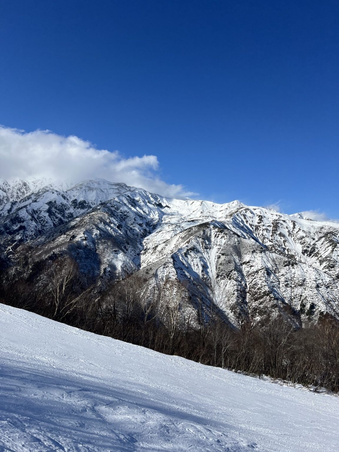 レッスン – Locus Guide Service