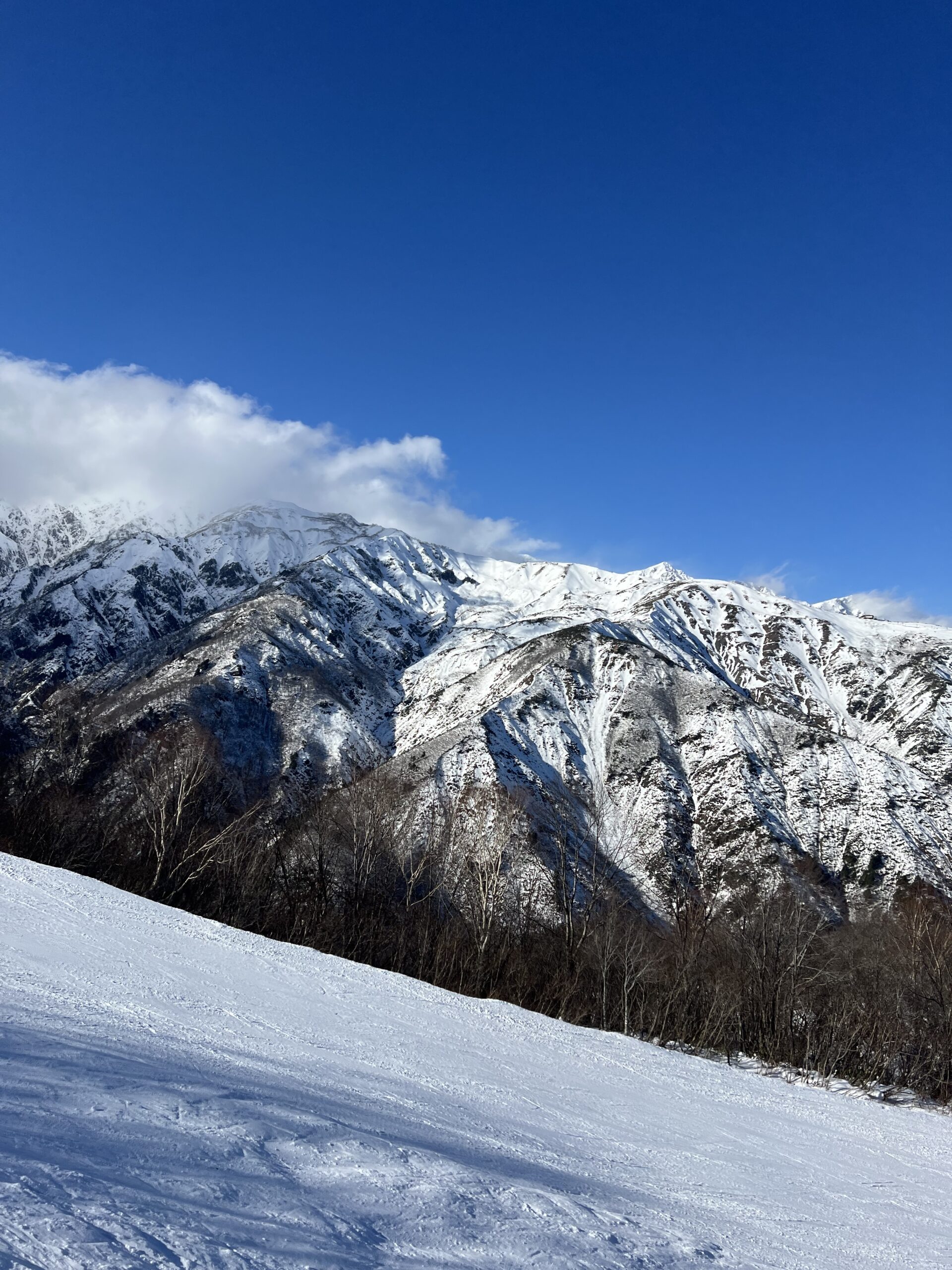 レッスン – Locus Guide Service