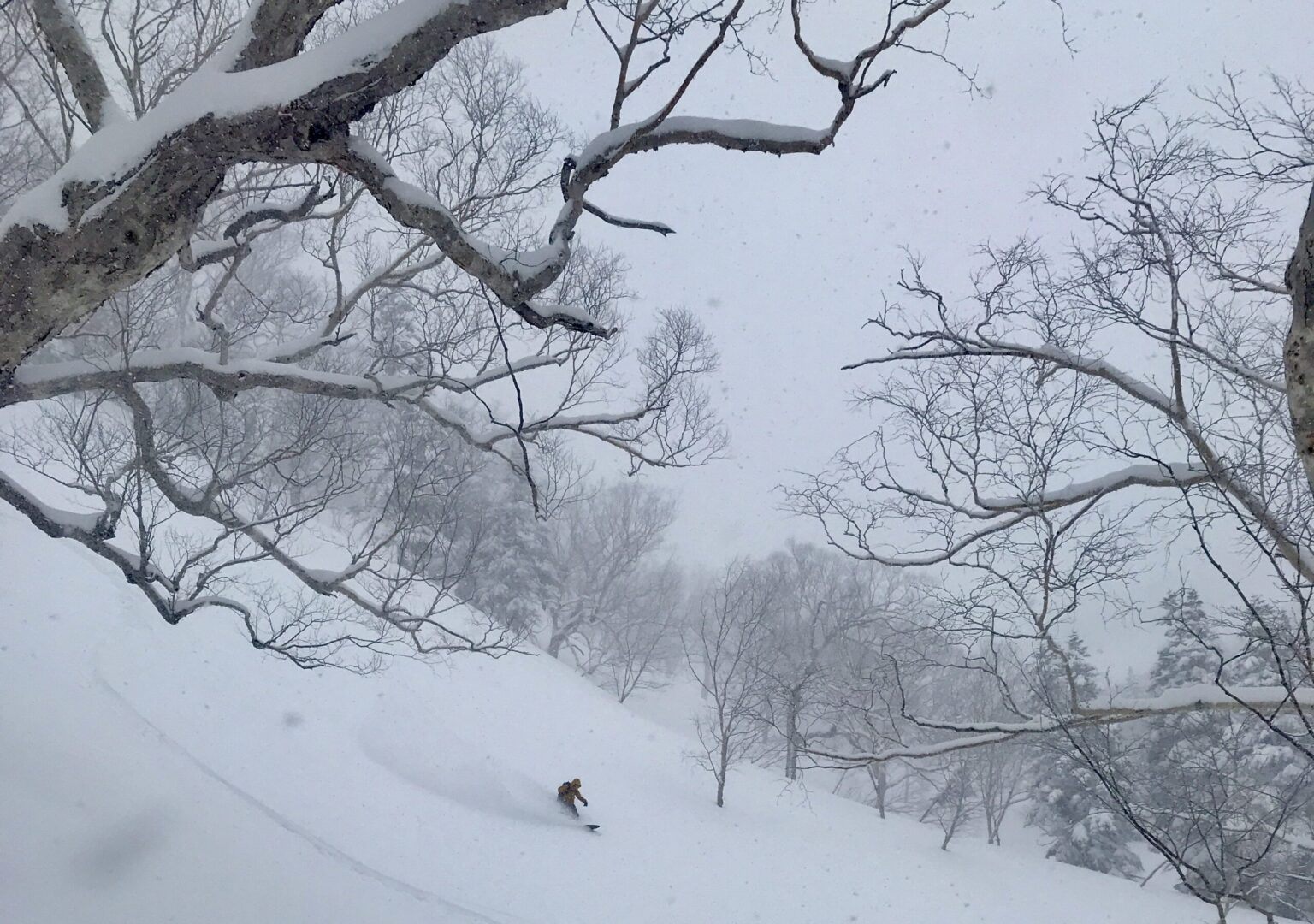 中級BCツアー – Locus Guide Service