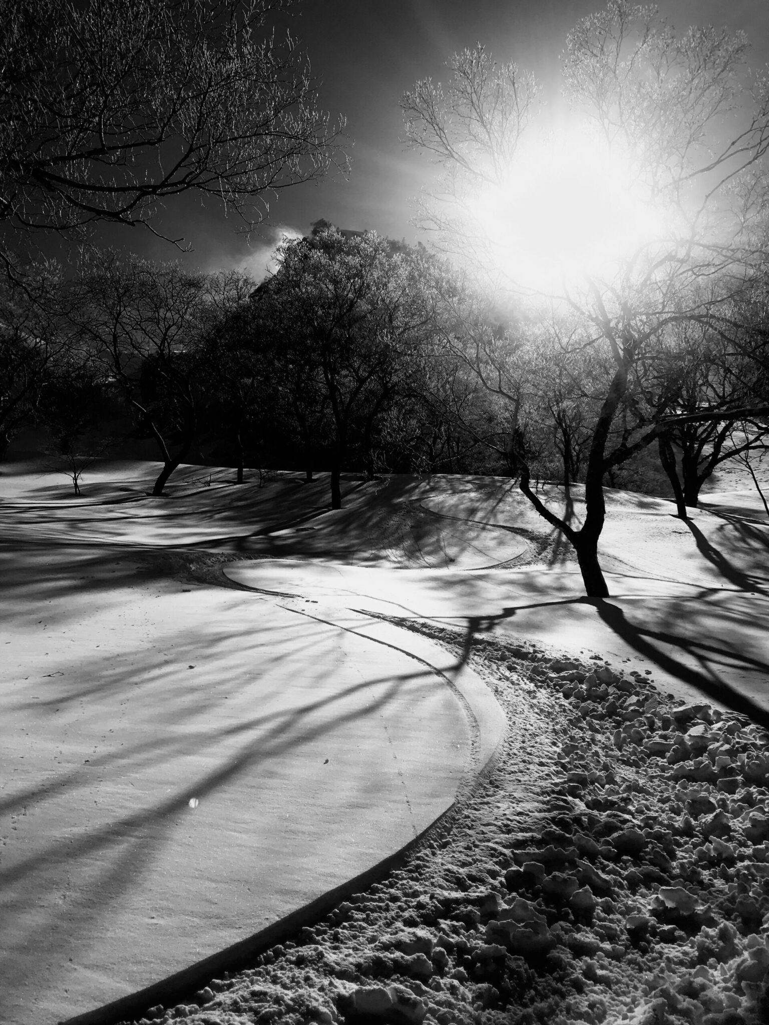 オンラインレッスン募集開始 – Locus Guide Service